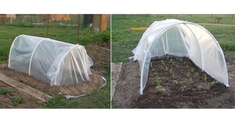 Зеленчуци в парници и оранжерии Български Фермер