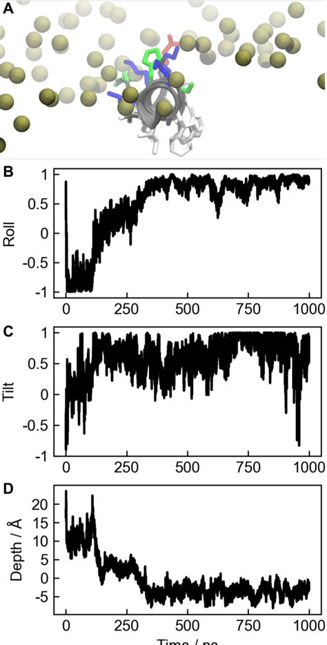 A Final Snapshot Of Mag From A 1 µs Simulation Initiated Above A Model