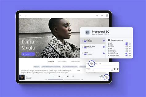 Roon Tipps And Tricks 075 100 Dsp Procedural Equalizer Eq Acm Premium Audio