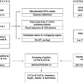 DNA Data Mining And Control Experiments Download Scientific Diagram