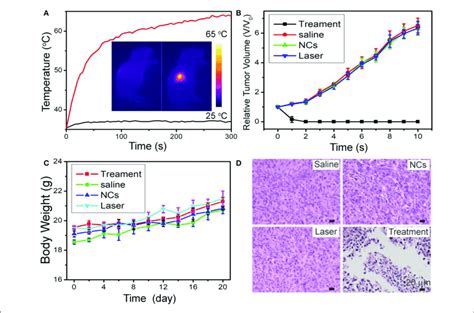 A Temperature Curves Of Tumors As A Function Of Irradiation Time Download Scientific