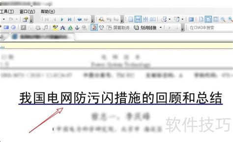Cajviewer操作指南：字体、布局、高亮设置等技巧全掌握 软件技巧 Zol软件下载