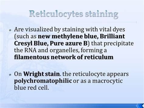Reticulocyte Stain