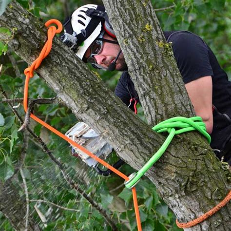Climbing Rig Tree At Harry Quintana Blog