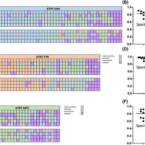 Morphological Patterns In Atrt According To Molecular Subgroup