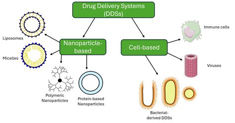 Or Research Advancements In Nanoparticles And Cell Based Drug Delivery Systems For The