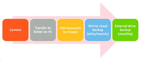 Suggested Workflow Of Storage Backup And Archiving Images Download Scientific Diagram