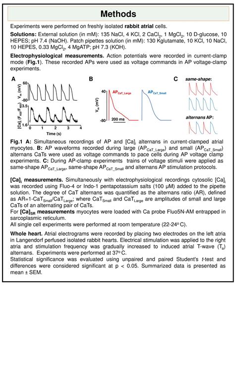 Introduction Alternans Is A Risk Factor For Cardiac Arrhythmia Including Atrial Fibrillation