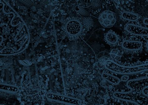 Cell Process What Signaling Pathways Are Associated With Cellular