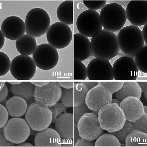 Tem A D And Sem E H Images Showing Core Shell Structure Of Ps Download Scientific Diagram