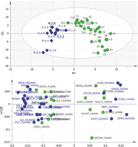 top two dimensional score plot of predictive partial least squares