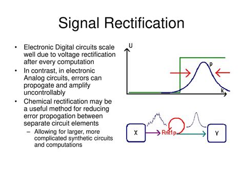 The Value Of Tools In Biology Ppt Download