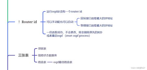ospf基础（open shortest path first）内部igp网关路由协议 ospfigp csdn博客