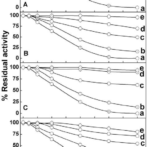 Thermal Inactivation Of α Amylase At Different Temperatures The Enzyme