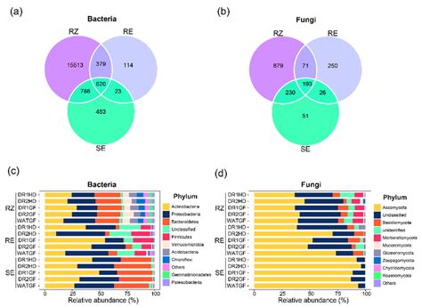 Differences In Microbial Community Composition Between Compartments