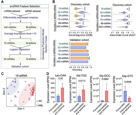 human circulating small non coding rna signature as a non invasive