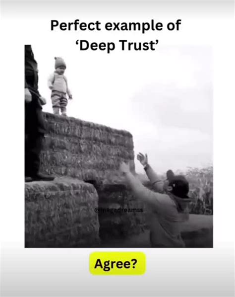 Vyankatesh J On Linkedin A Perfect Example Of Deep Trust Is When