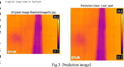 Figure 1 From Paddy Leaf Disease Identification On Infrared Images Based On Cnn With Auto