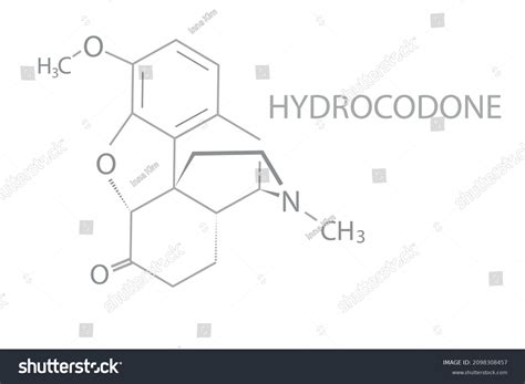 Hydrocodone Molecular Skeletal Chemical Formula Stock Vector Royalty