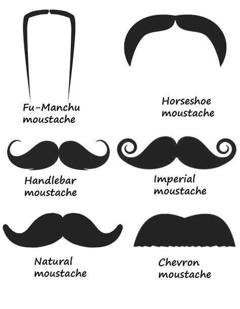 Types De Moustaches Set Of Beards Mustache Hipster Men Afbeelding Door