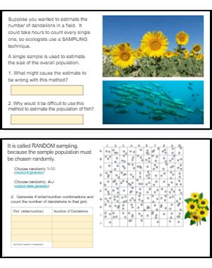 Estimating Population Size Remote Learning Unit