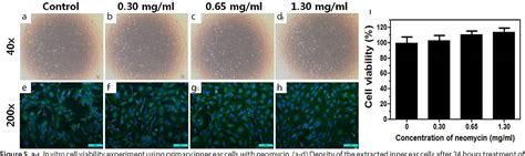 Figure 5 From Mammalian Cochlear Hair Cell Imaging Using Optical