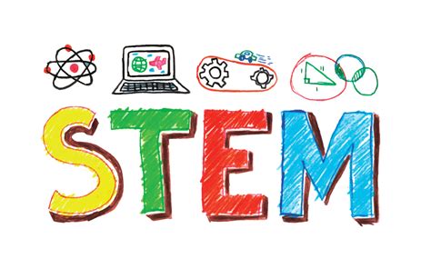 3 Reasons Why You Need To Choose Stem Strand