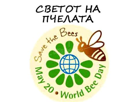 ИЗЛОЖБА НА СЛИКИ И ЦРТЕЖИ „СВЕТОТ НА ПЧЕЛАТА“ Комарец