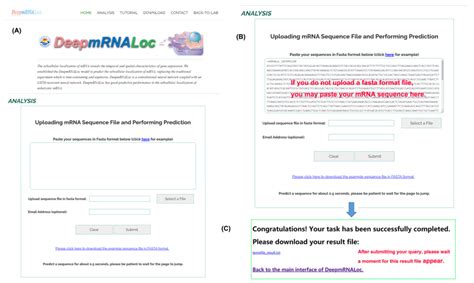 Deepmrnaloc A Novel Predictor Of Eukaryotic Mrna Subcellular Localization Based On Deep Learning