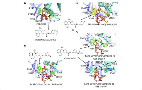 Close Up View Of Interaction Between Sars Cov 1 Plpro And Inhibitors