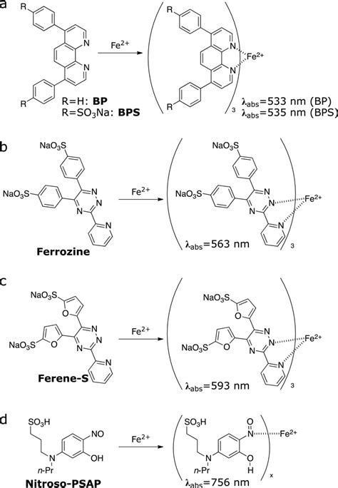 Chemical Tools For Detecting Fe Ions Abstract Europe Pmc