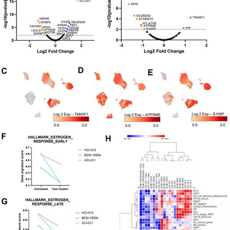 Single Cell And Bulk Transcriptomic Profiling Of Tamoxifen Treated Pdx
