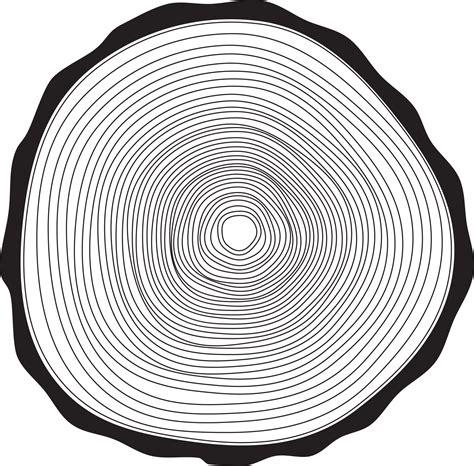 Tree Rings Background 36310324 PNG