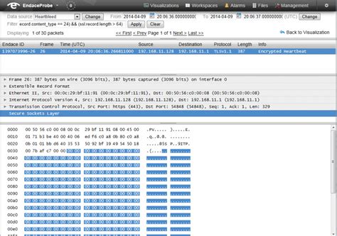Are Your Systems Safe Against The Heartbleed Bug Endace Blog
