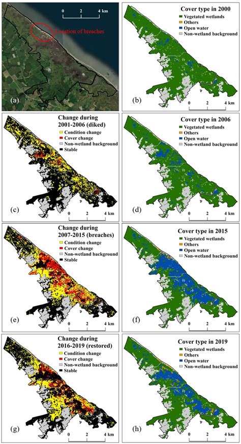 Figure 10 From Detection And Characterization Of Coastal Tidal Wetland