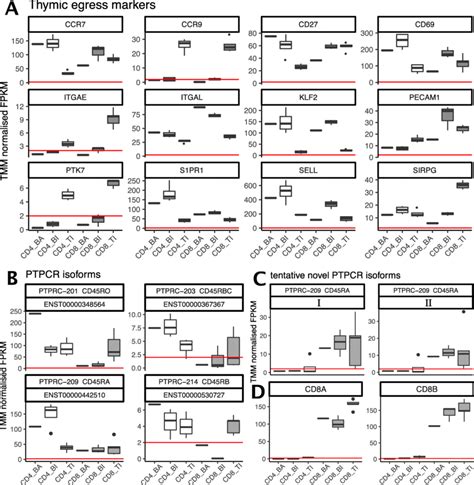 Ptprc Cd45 Transcript Expression For Each T Cell Subset For A Known