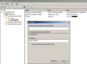 Setting Up An Authoritative DNS In Windows Server Jesin S Blog