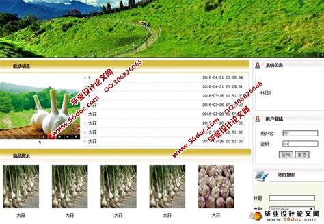 益养健康产品销售平台开发与设计 php mysql 含录像 php 56设计资料网