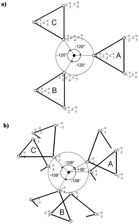 A Schematic Diagram Showing The Projection Down The Helix Axis Of Download Scientific Diagram