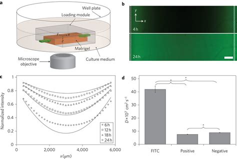 Effect Of Surface Charge On Diffusivity Through Extracellular Matrix