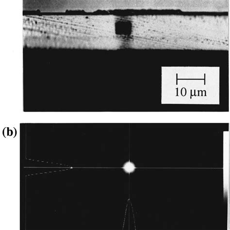 Optical Loss Spectra Of Polymer Waveguides Solid Line Eo Polymer Download Scientific Diagram