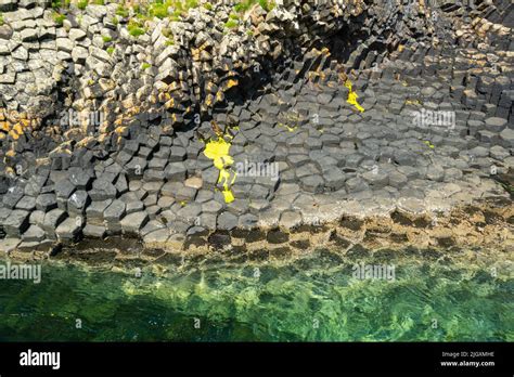 Basalt Column Formations Columnar Basalt Or Columnar Jointing On The Island Of Staffa Scotland