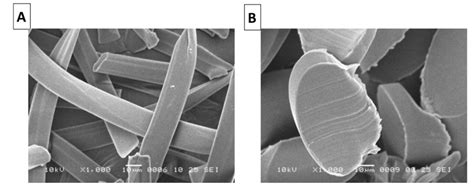 Morphology Of Environmental Microplastic Fibers Representative Sem