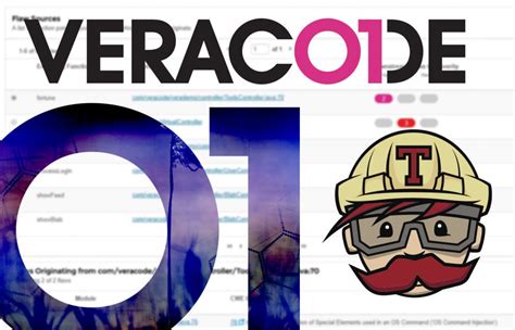 Mint Security Veracode