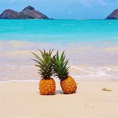 Pineapples In Love Wallpaper Backgrounds Cute Wallpapers Iphone