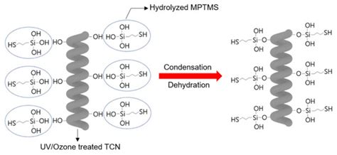 Polymers Special Issue Functional Polymer Composites Synthesis Characterization And