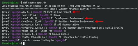 How To Install Java On Almalinux 10 A Step By Step Guide
