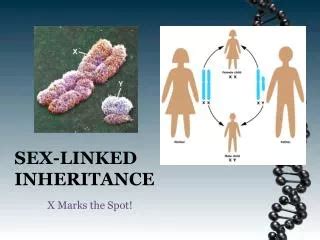 PPT Sex Linked Inheritance PowerPoint Presentation Free Download ID