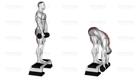 Dumbbell Jefferson Curl Exercise Guide Techniques Benefits How To Muscles Worked Tips