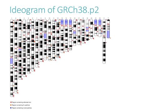 hg19 grch37 vs hg38 grch38